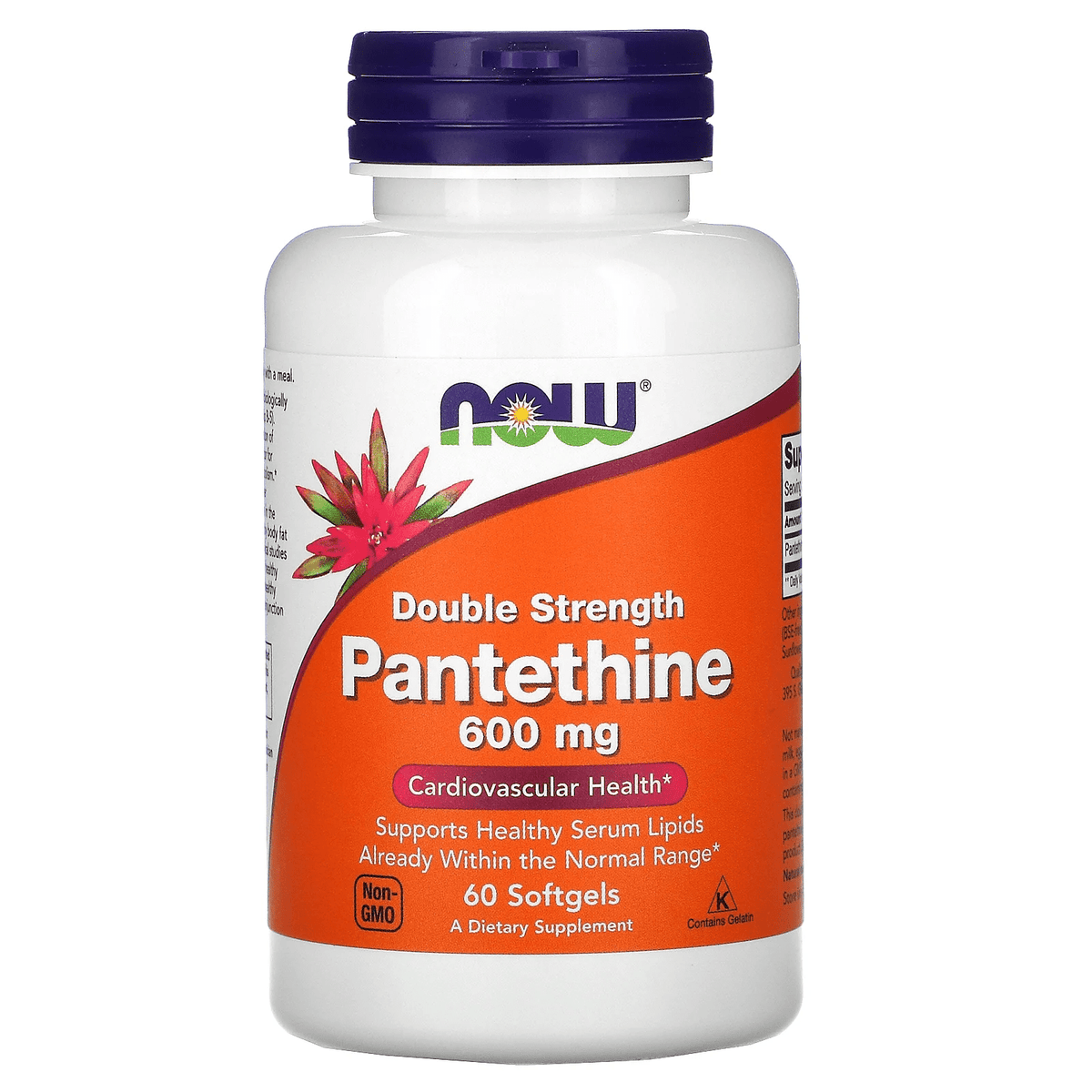 Pantethine 600mg 60 Softgels - Now Foods — Capitol Nutrition